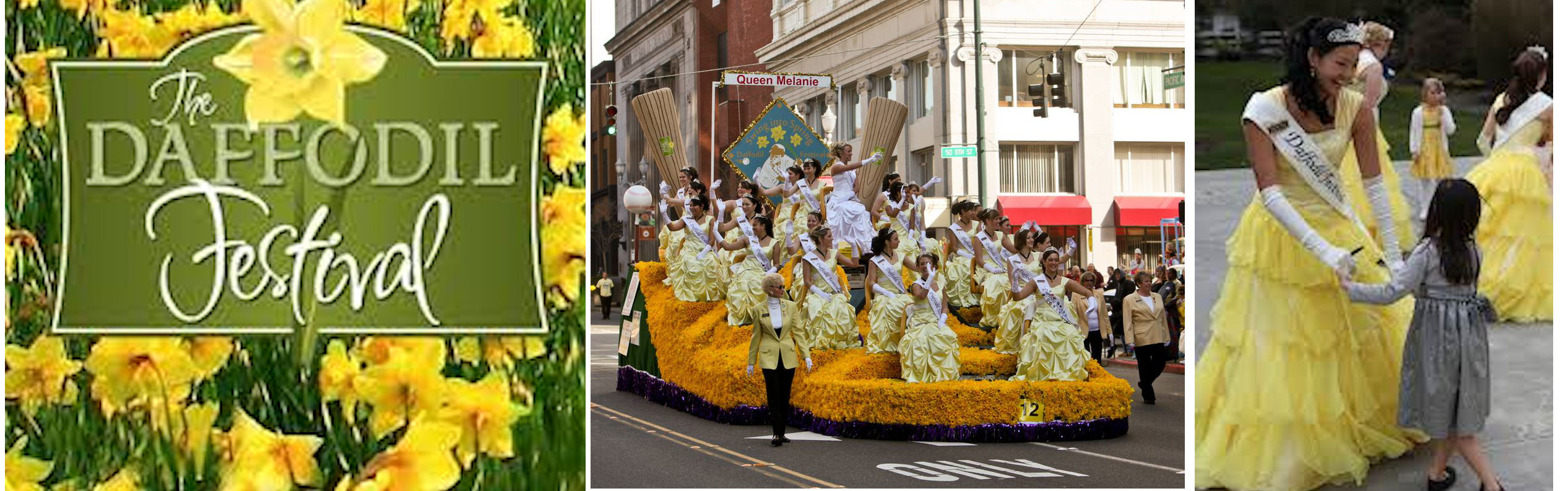 Daffodil Parade – Math Stories For You